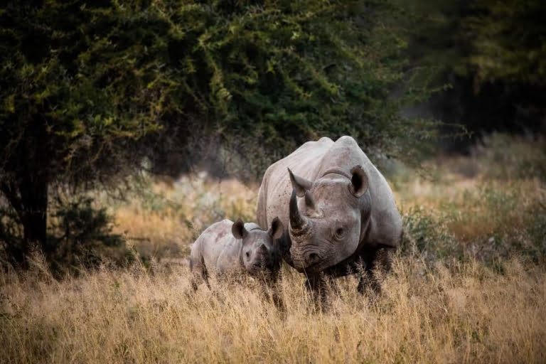 holiday_offer_south_africa - Southern Cross Travel